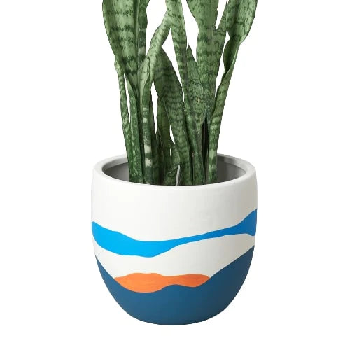 Shop Pots for Indoor & Outdoor Houseplants | Natureit
